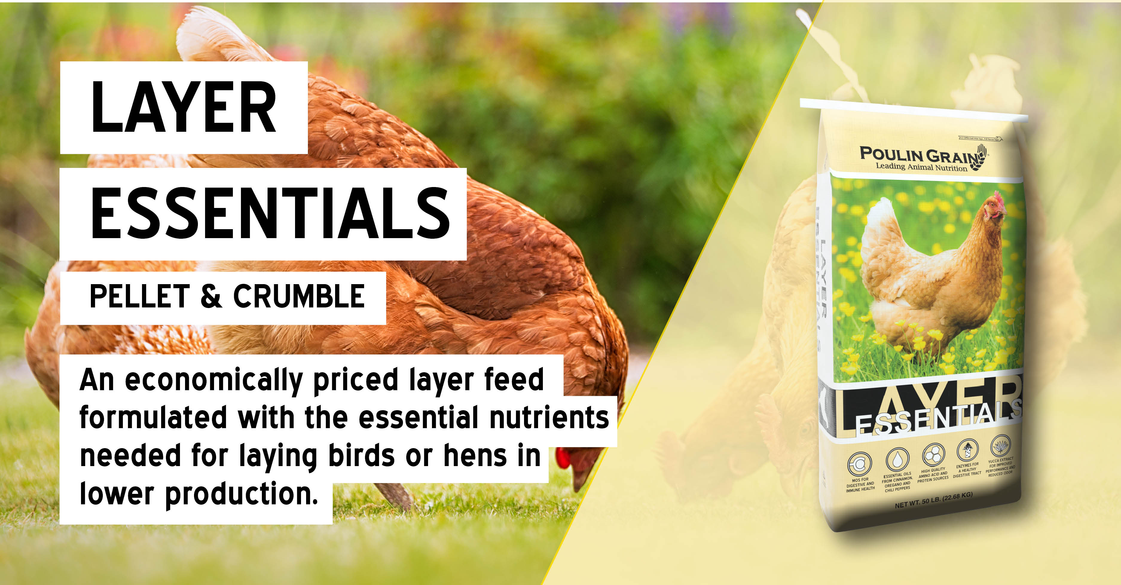Poulin Grain – Layer Pellet Essentials
