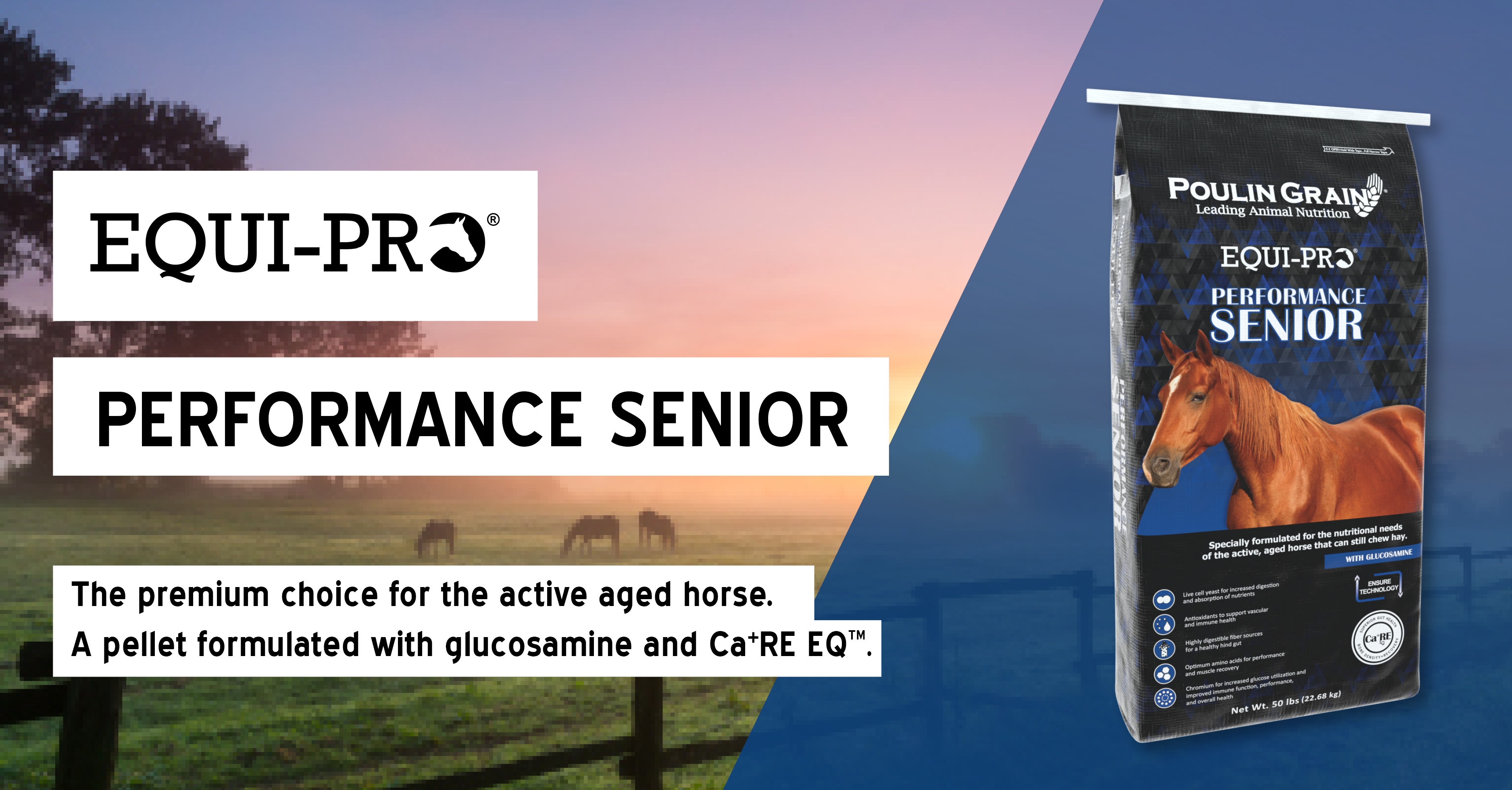 Poulin Grain – EQUI-PRO® Performance Senior (Previously Premium Senior)