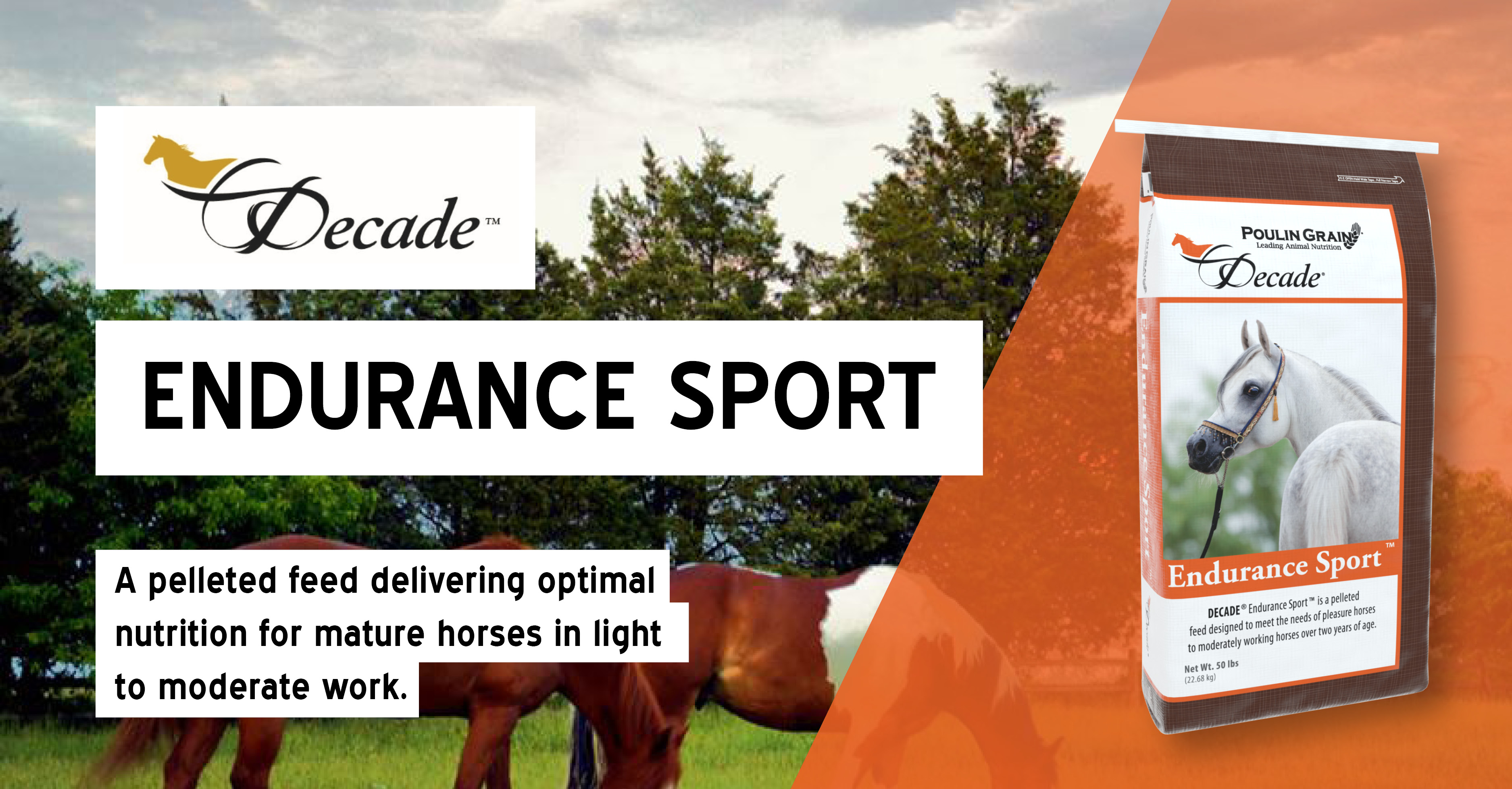 Poulin Grain – Decade® Endurance Sport