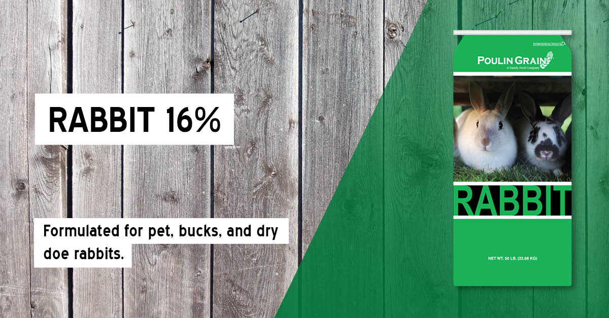 Poulin Grain – Rabbit 16% Maintenance Pellet