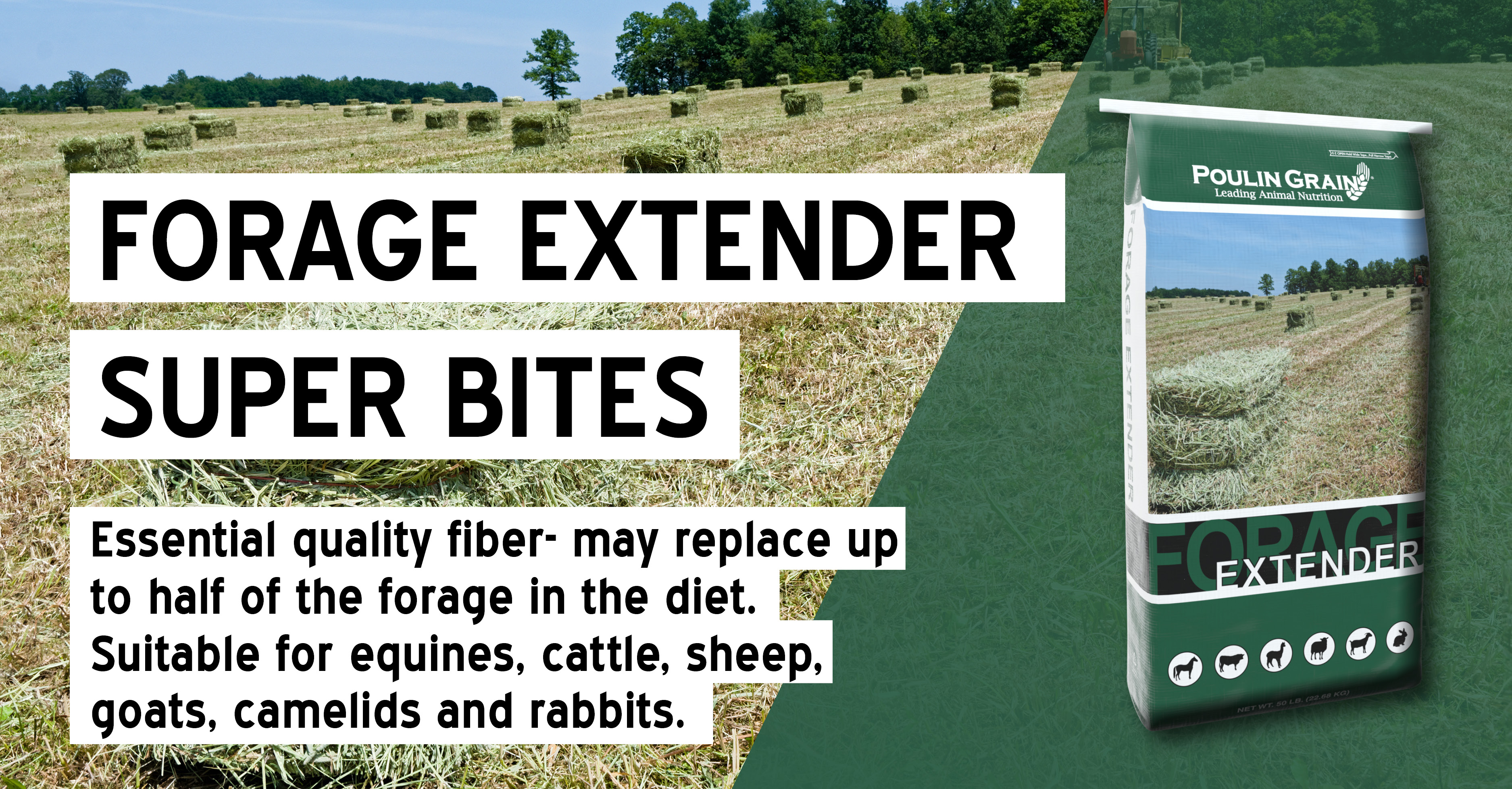 Poulin Grain – Forage Extender Super Bites